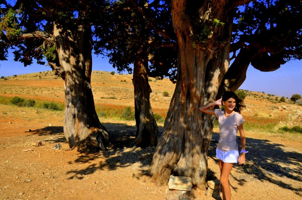 Top things to do in Hermel - LebanonUntravelled.com