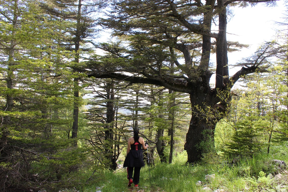 Ammiq Wetland - LebanonUntravelled.com