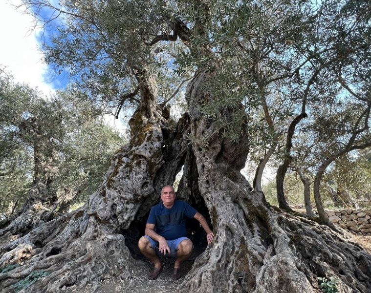 lebanonUntravelled - LebanonUntravelled.com