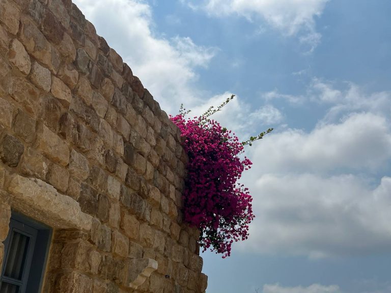 Arnaoon village, Batroun - LebanonUntravelled.com